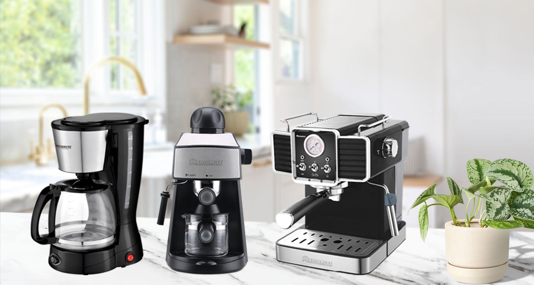 Big Brute Philippines — marketing.bigbrute